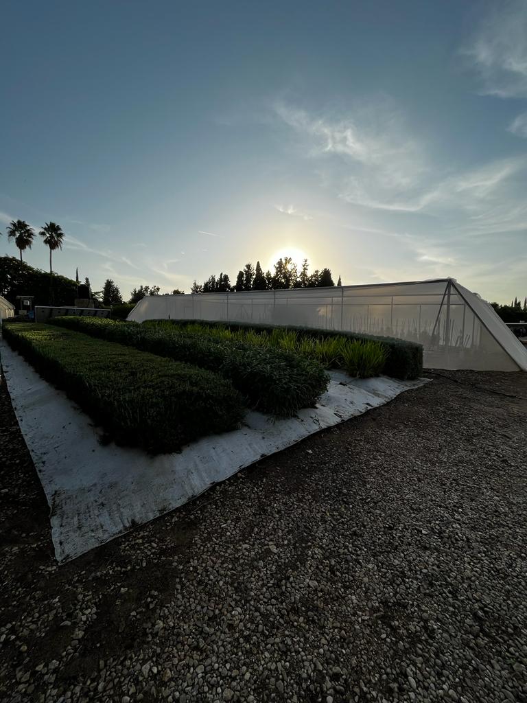 Berman Mission 2022 Student Reflections - Berman Hebrew Academy